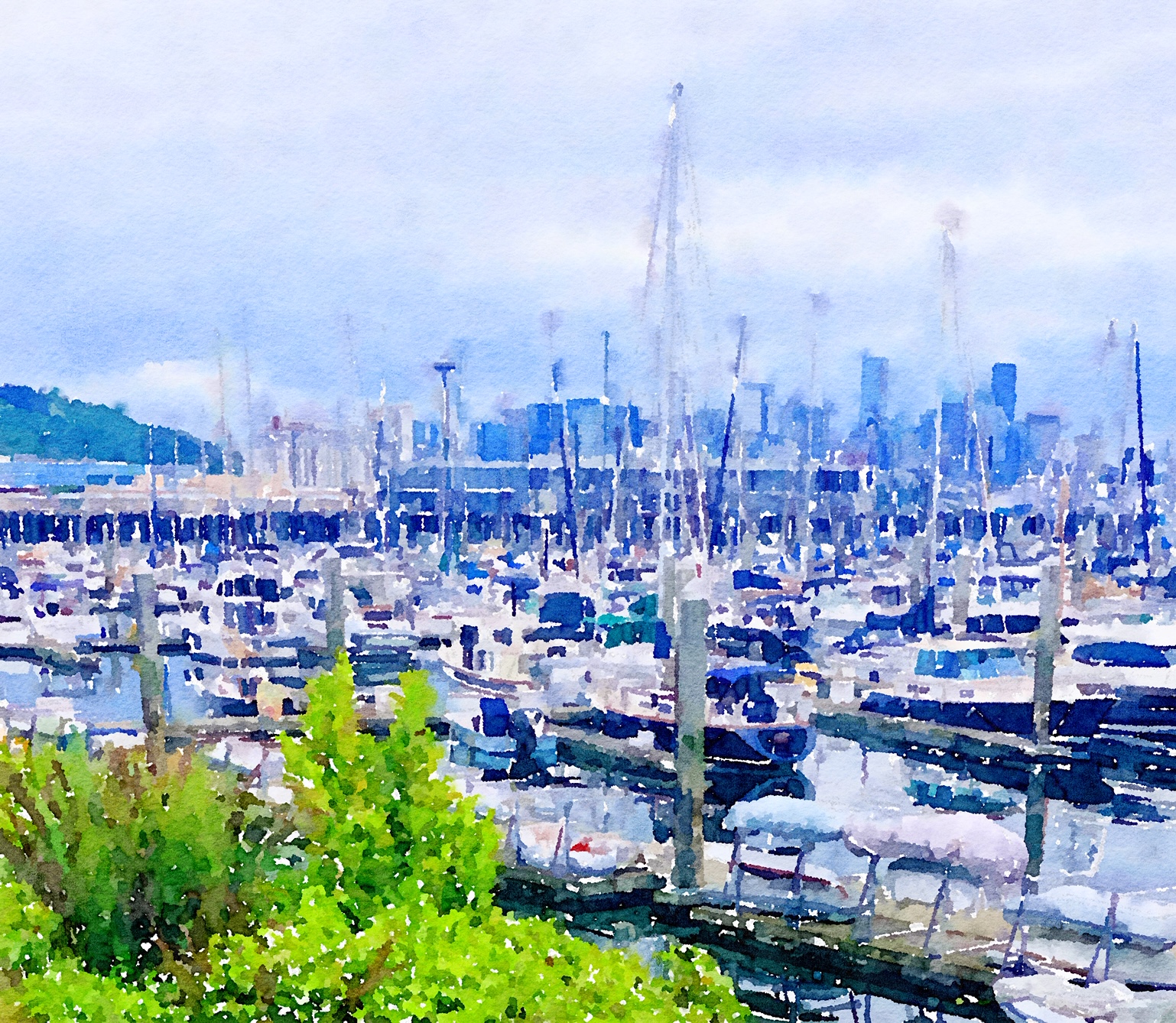 Seattle – Braiden Blossoms